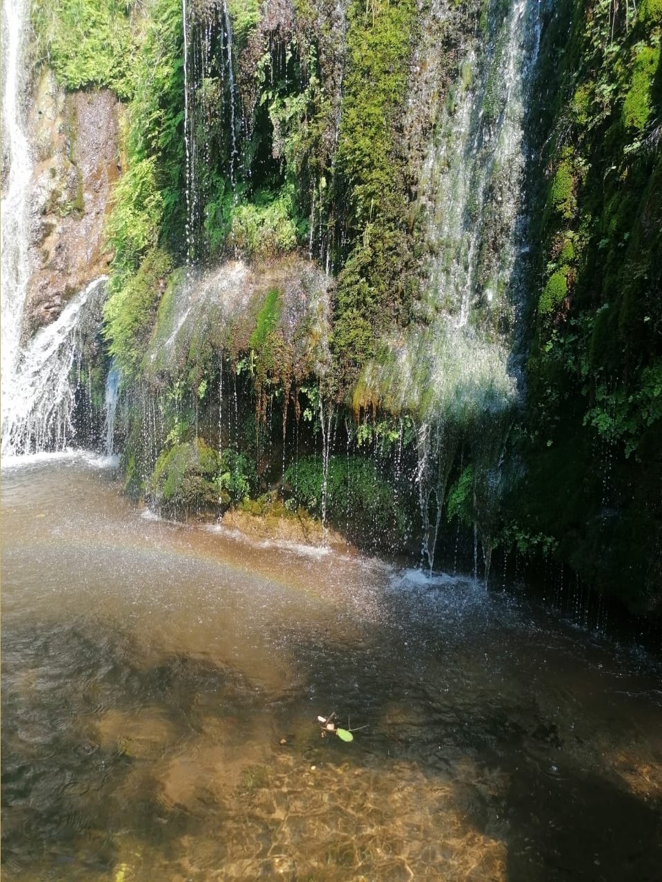Limpopo Wildlife Resorts