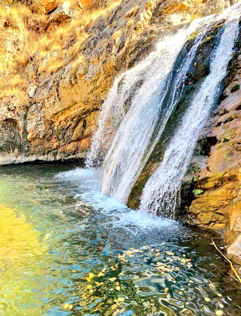 Limpopo Wildlife Resorts